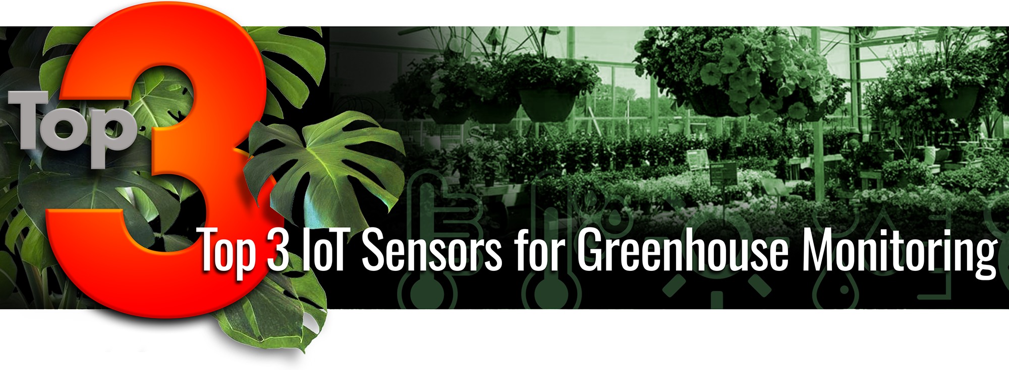 Greenhouse Monitoring using IoT Wireless Sensors | McCoy Components
