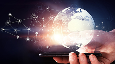 Lierda | McCoy Components